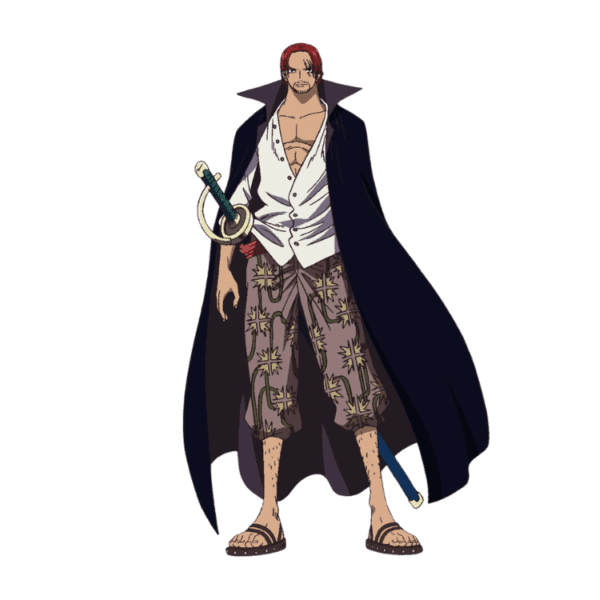 CÁC NHÂN VẬT CHÍNH CỦA ONE PIECE